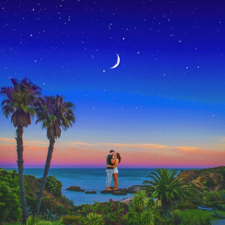 Summer Night : 여름밤 | POCLANOS