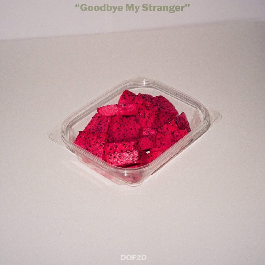 Goodbye My Stranger | POCLANOS