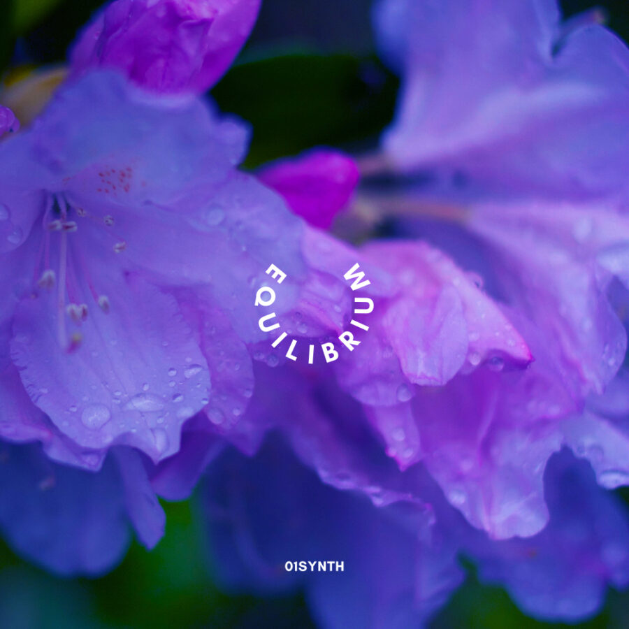 Equilibrium | POCLANOS