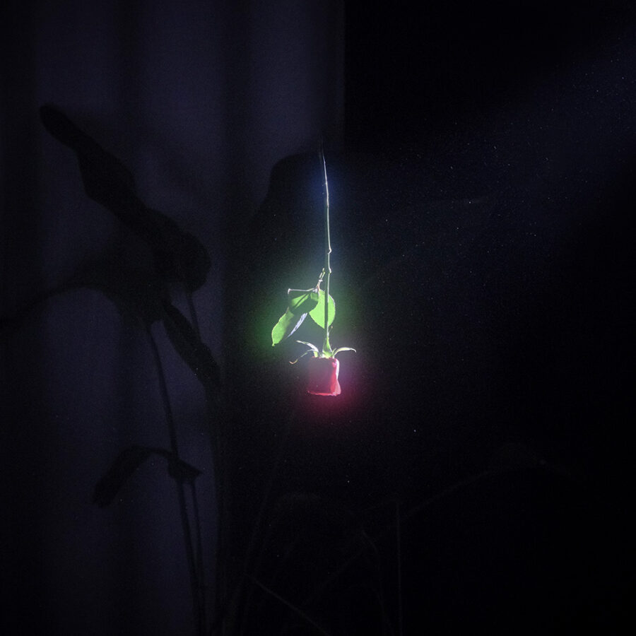 영원회귀 | POCLANOS