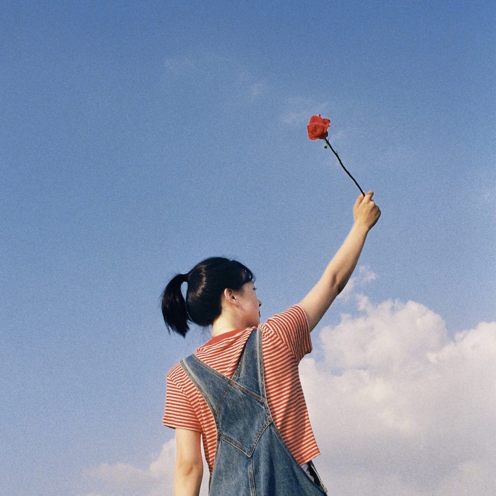 양과꽃들의사이 | POCLANOS