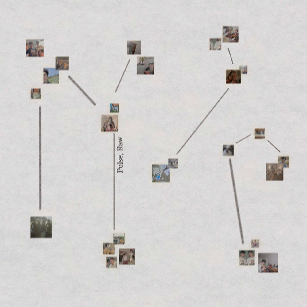 Pulse, Raw | POCLANOS