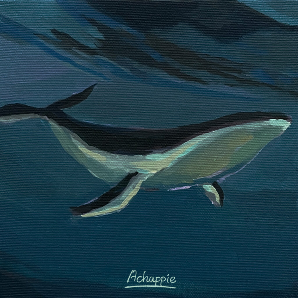 고래야 | POCLANOS