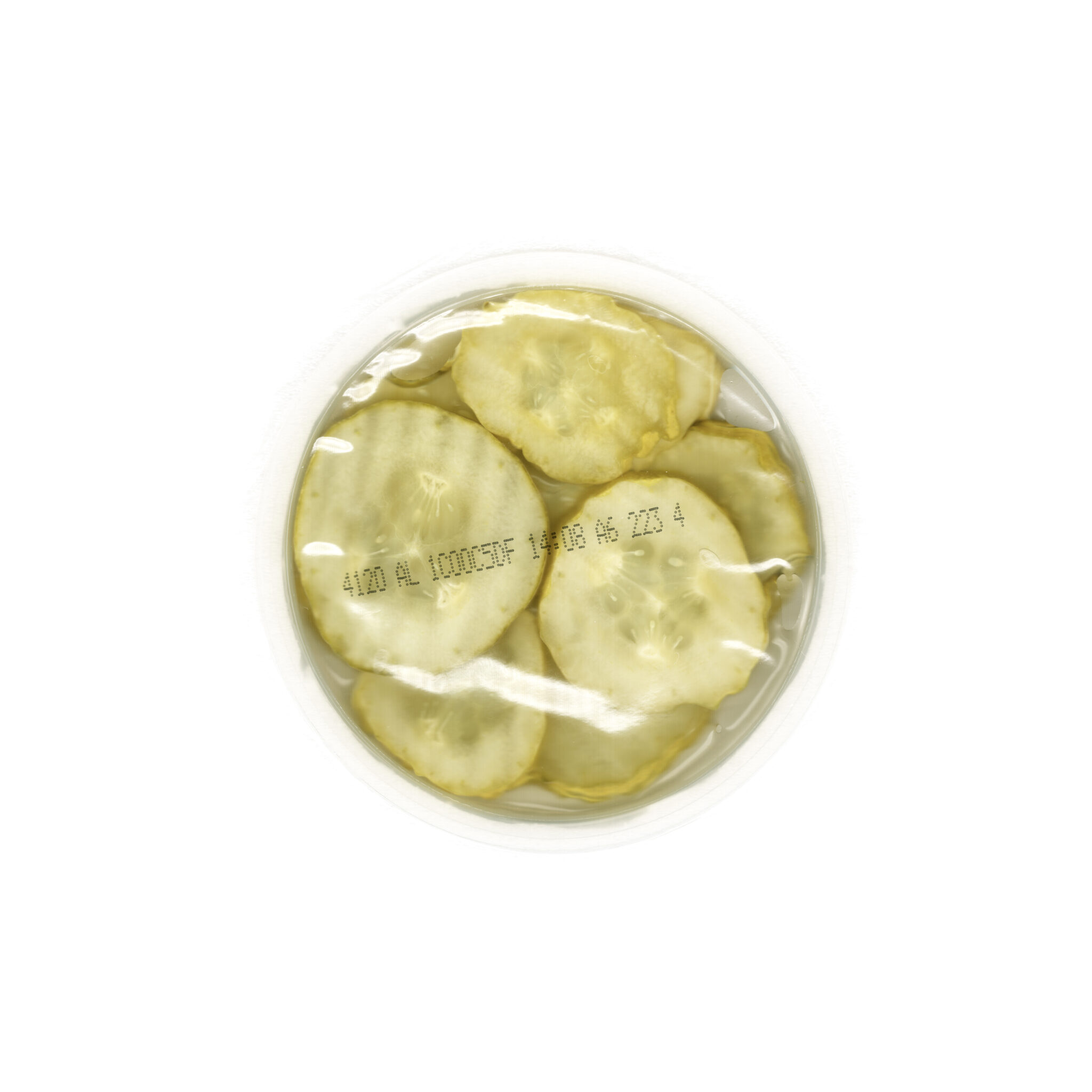 오이지 | POCLANOS