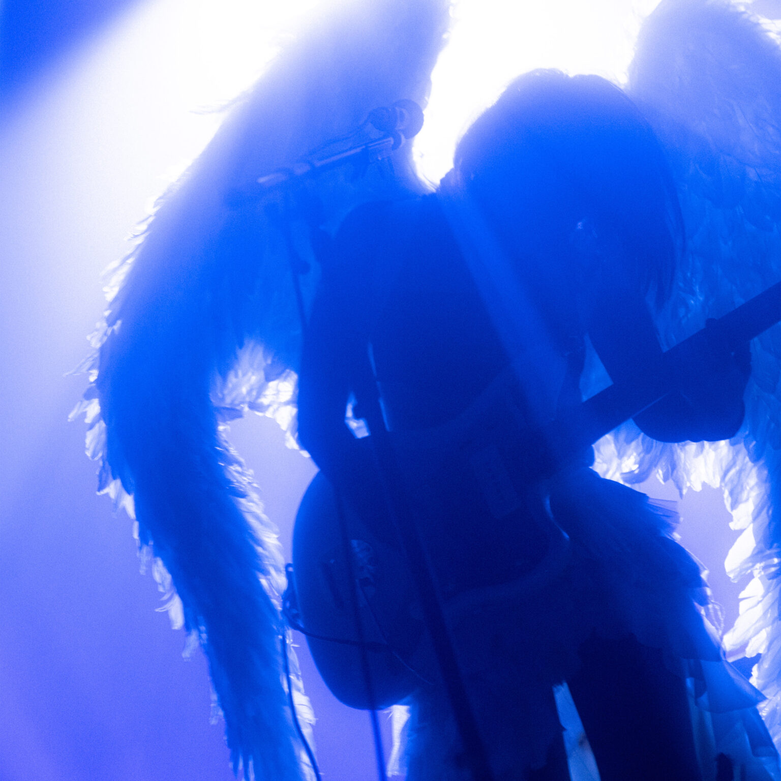 Angel drop Live | POCLANOS