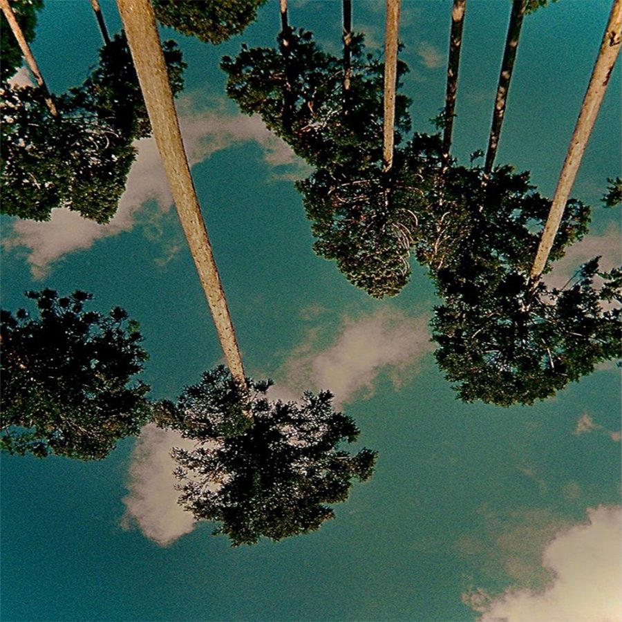 Monkey Mind | POCLANOS